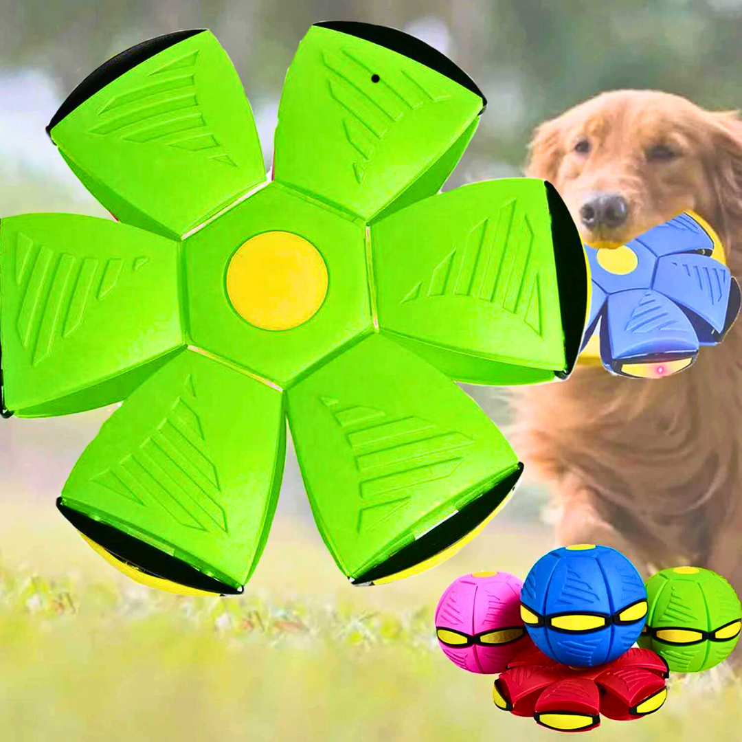 Bola Pula Pula | Para Cachorro Bola Pula Pula | Para Cachorro